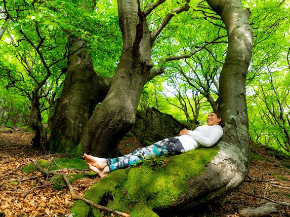 30 Ideen für unvergessliche Erlebnisse in Willingen